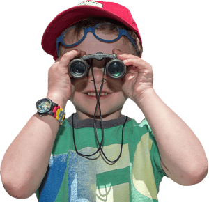 Home - National Inclusion Project